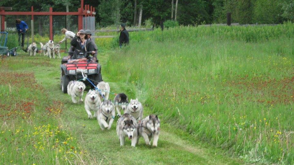 Husky Ranch Canada